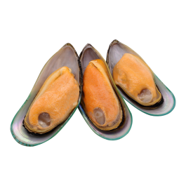 หอยแมลงภู่นิวซีแลนด์ออแกนิค ไซซ์ L PURE AOTEAROA ขายส่ง | Food Project