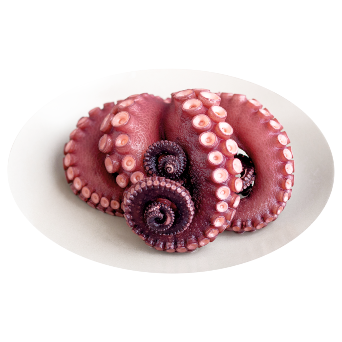 Fresh Squid Tako, Wholesale, Premium, Japan | Food Project