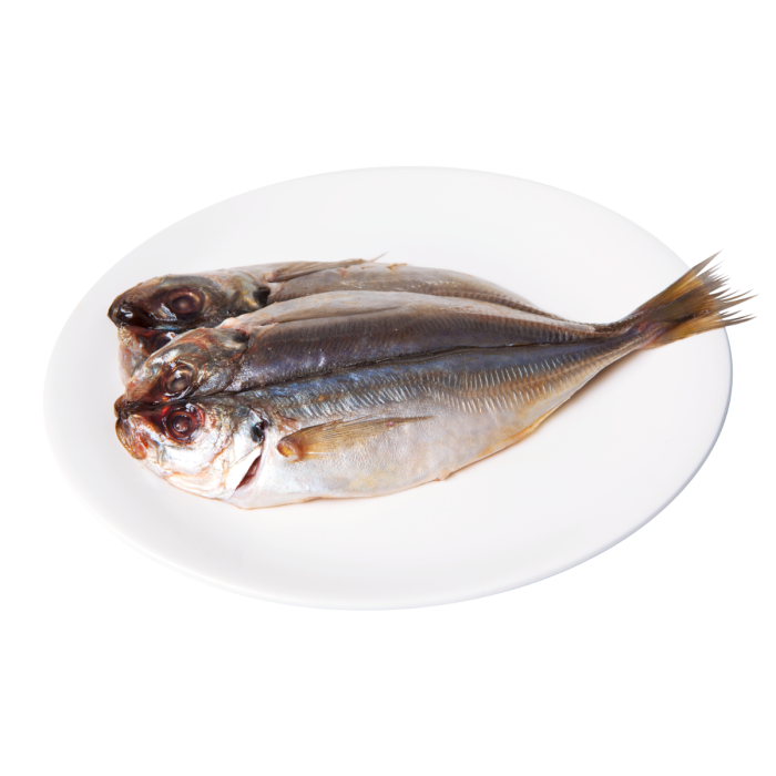 Sun-dried Aji fish, wholesale, premium, Japan | Food Project