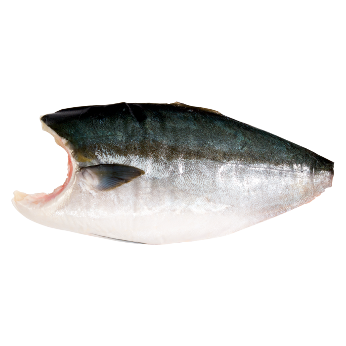 ONSUI filleted yellowtail fish, wholesale, premium, Japan | Food Project
