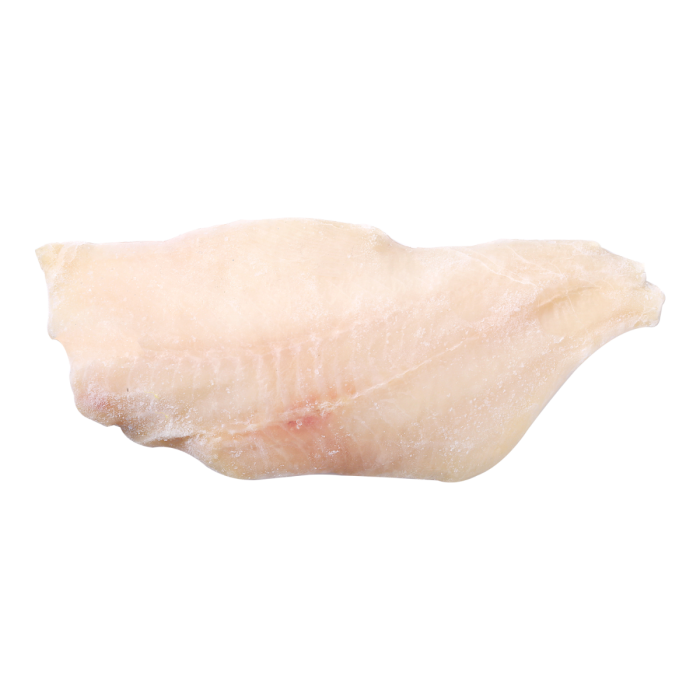 Smooth Dory fish fillets, wholesale, premium | Food Project