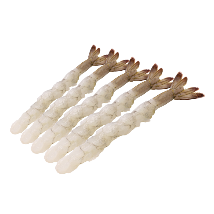 กุ้งยืดดิบ 14-15 ซม.. ขายส่ง พรีเมียม ไทย | Food Project