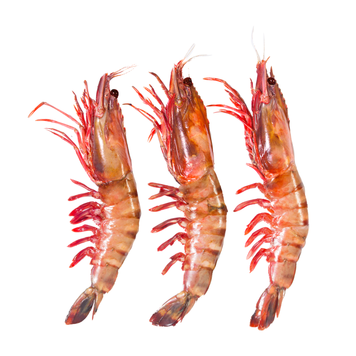 Difference Between Prawns And Tiger Prawns