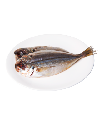 Aji - Fish - Seafood | Food Project