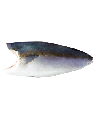 Hamachi - Fish - Seafood | Food Project