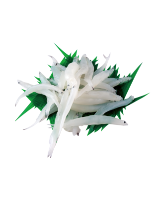 Silver-fish - Fish - Seafood | Food Project