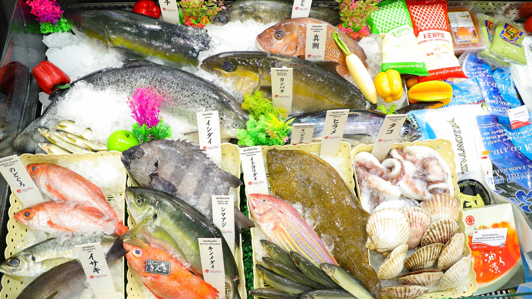 ฟู้ดโปรเจ็ค จัดเต็ม THAIFEX 2024: อาหารแช่แข็ง วัตถุดิบพรีเมียม , Food ...