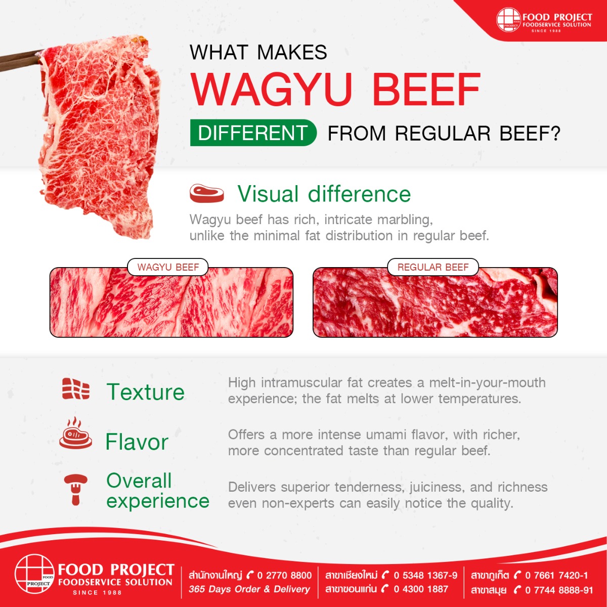What Makes Wagyu Beef so Special? | Food Project